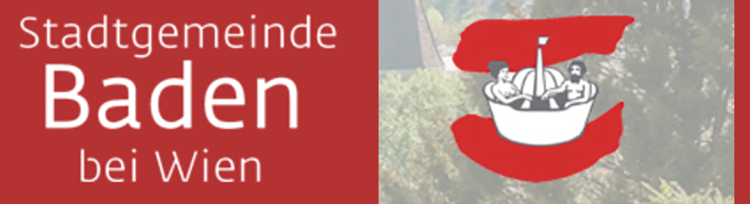 iniBit GmbH – Eine weitere WordPress-Website